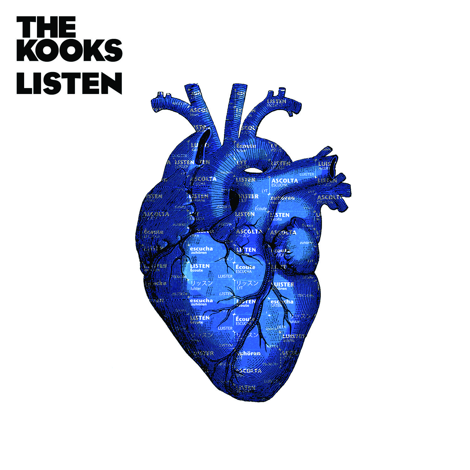 The Kooks - Listen | Rolling Stone Italia