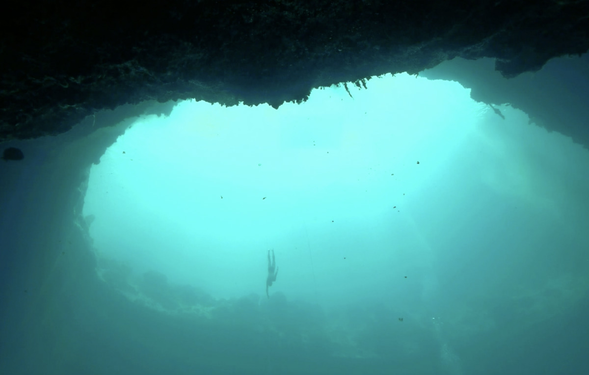 'Dolphin Man', guarda in esclusiva la clip del film su Jacques Mayol ...