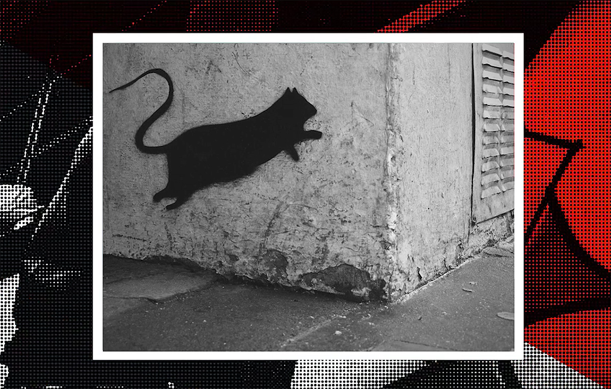 ‘The Rise of Graffiti Writing’, l’arte dei graffiti da New York all ...