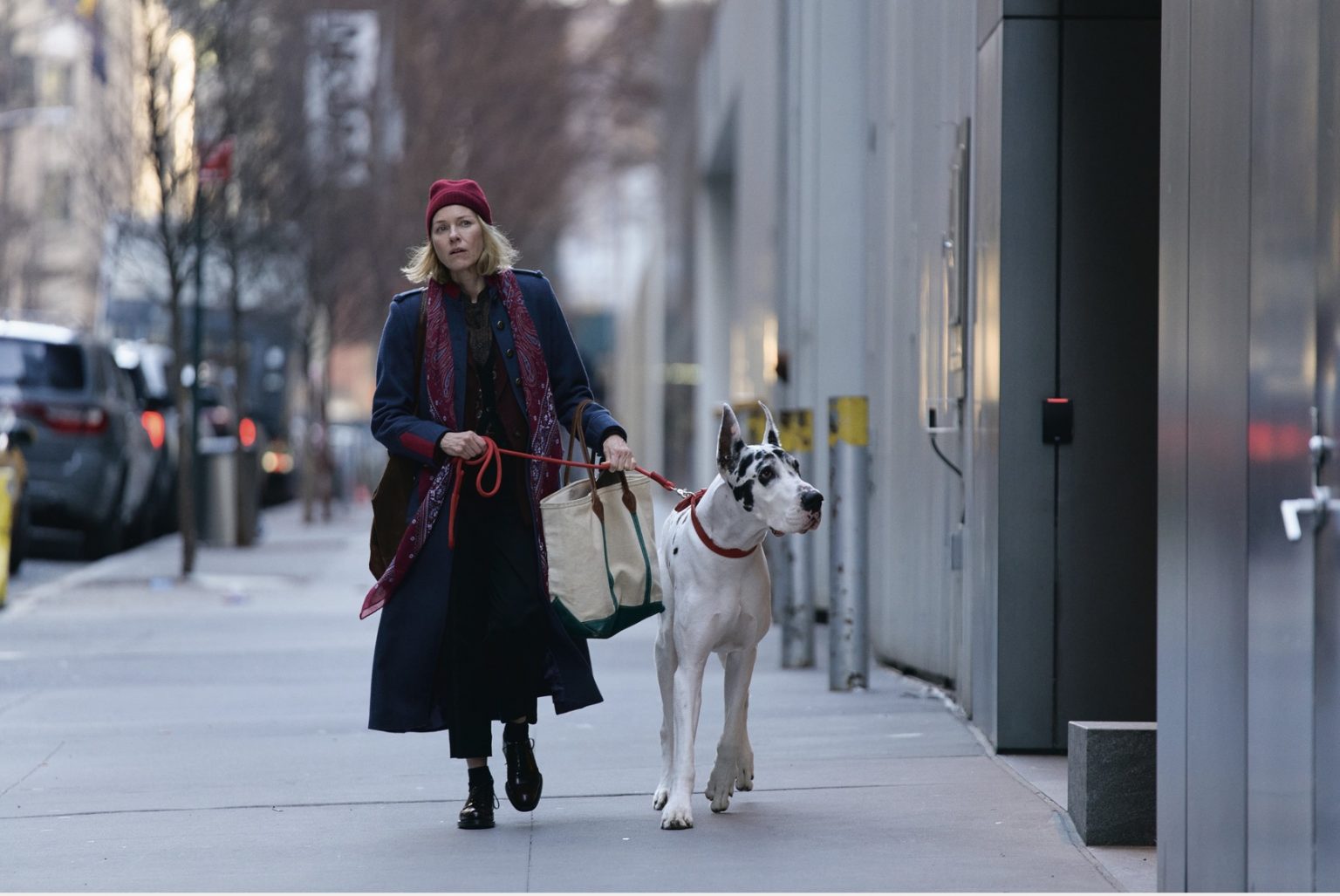 Lin-Manuel Miranda | Rolling Stone Italia