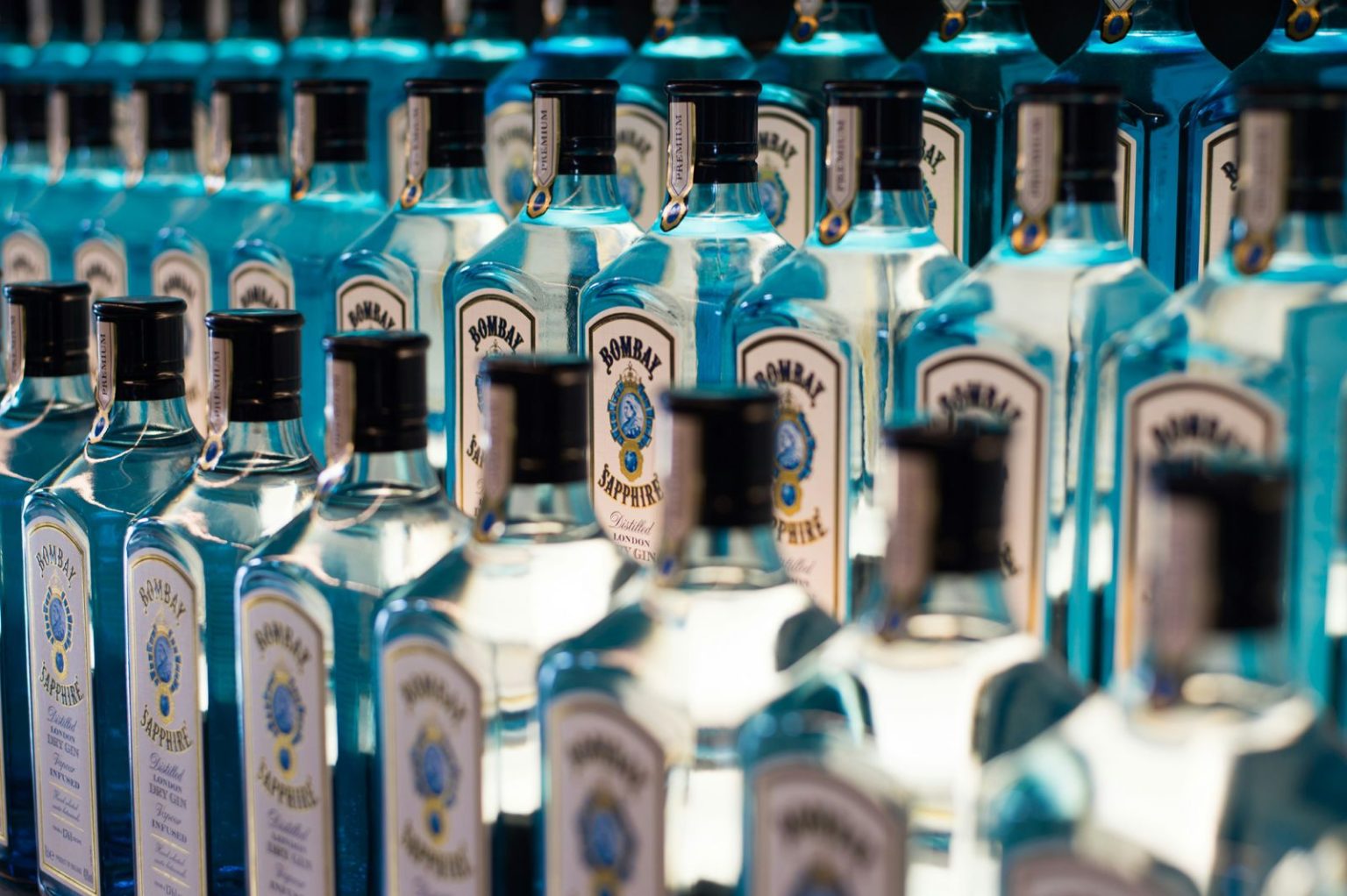 Il “gin mediterraneo” esiste davvero, ma non è quello che pensi ...